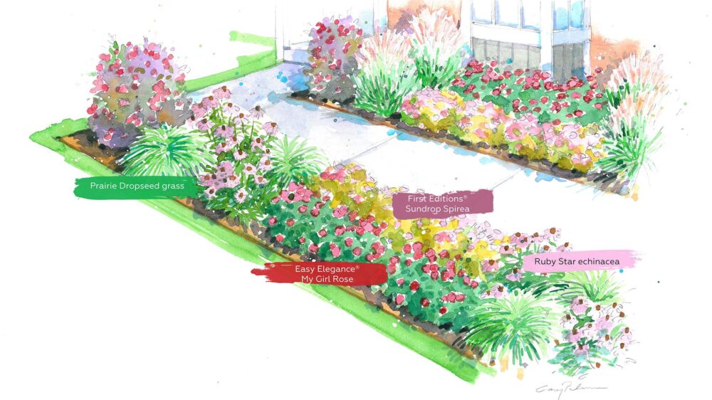 Spring Planning for Beautiful Roses | Easy Elegance