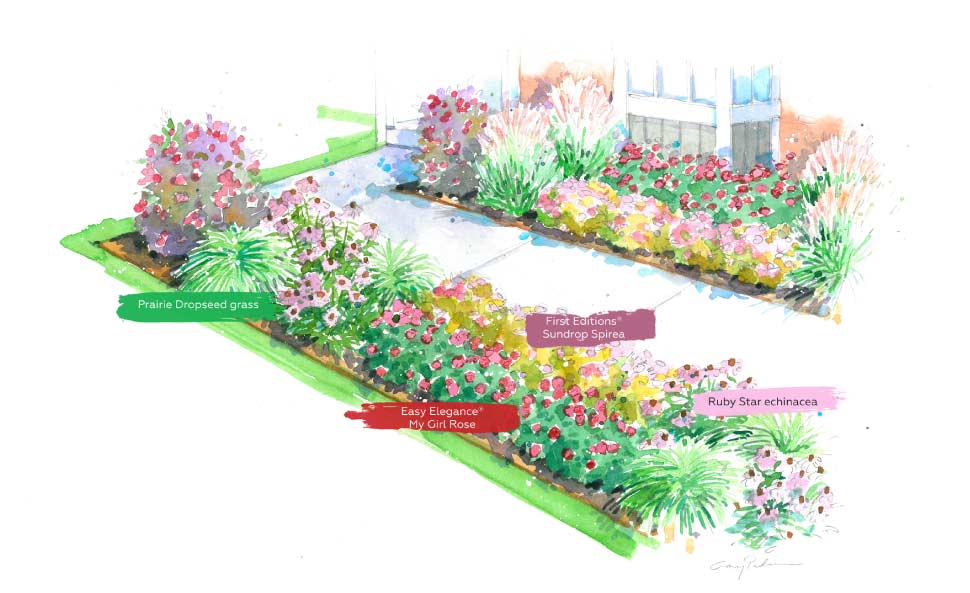 How to Use Roses in the Landscape | Easy Elegance